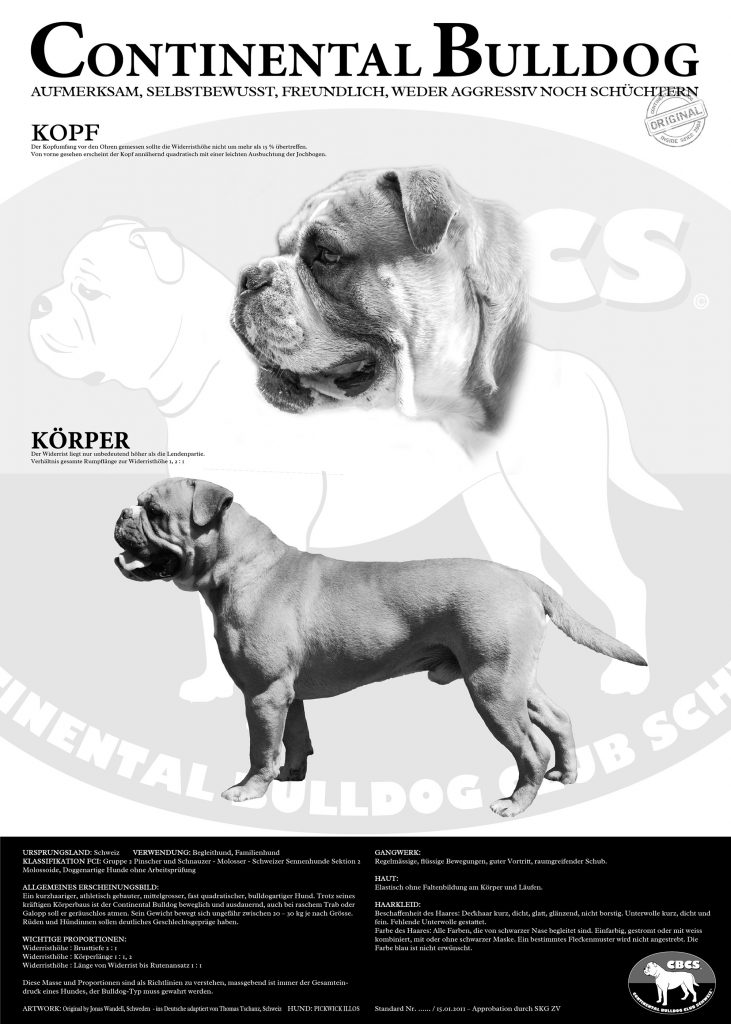 RASSESTANDARD – Conti-Bulldog