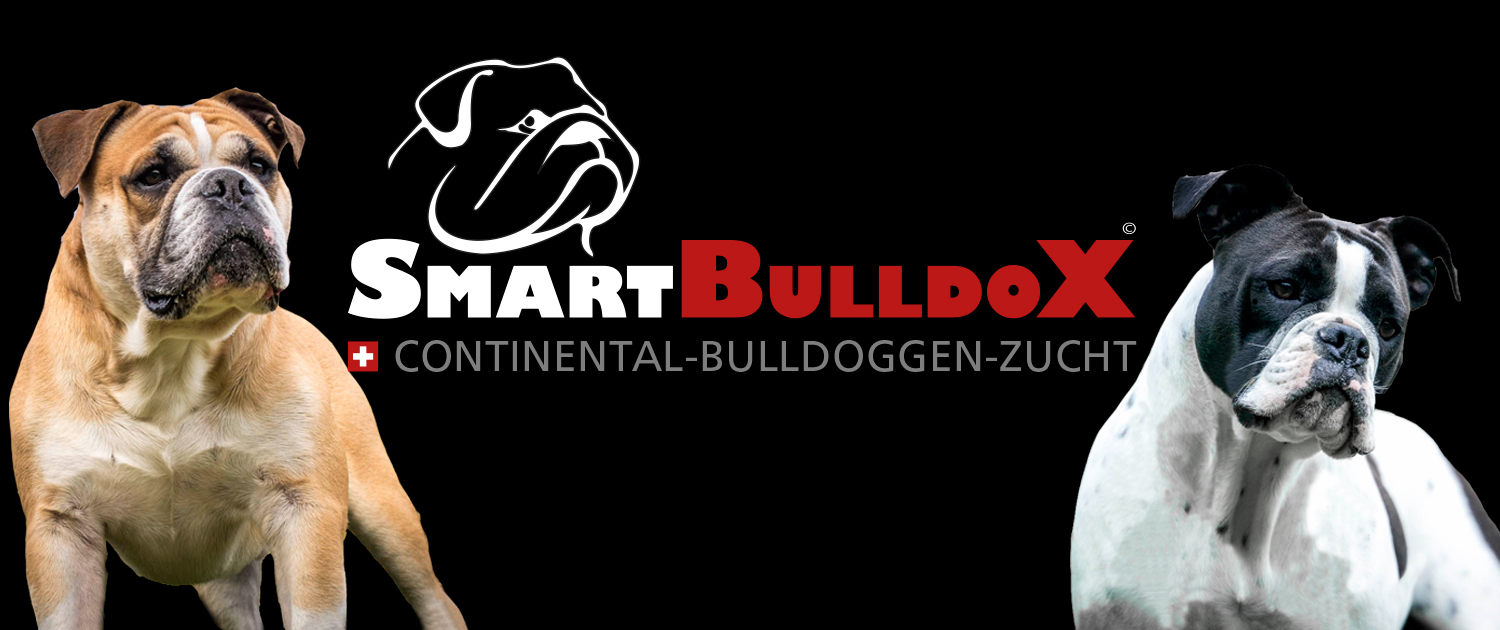 LINKS – Conti-Bulldog